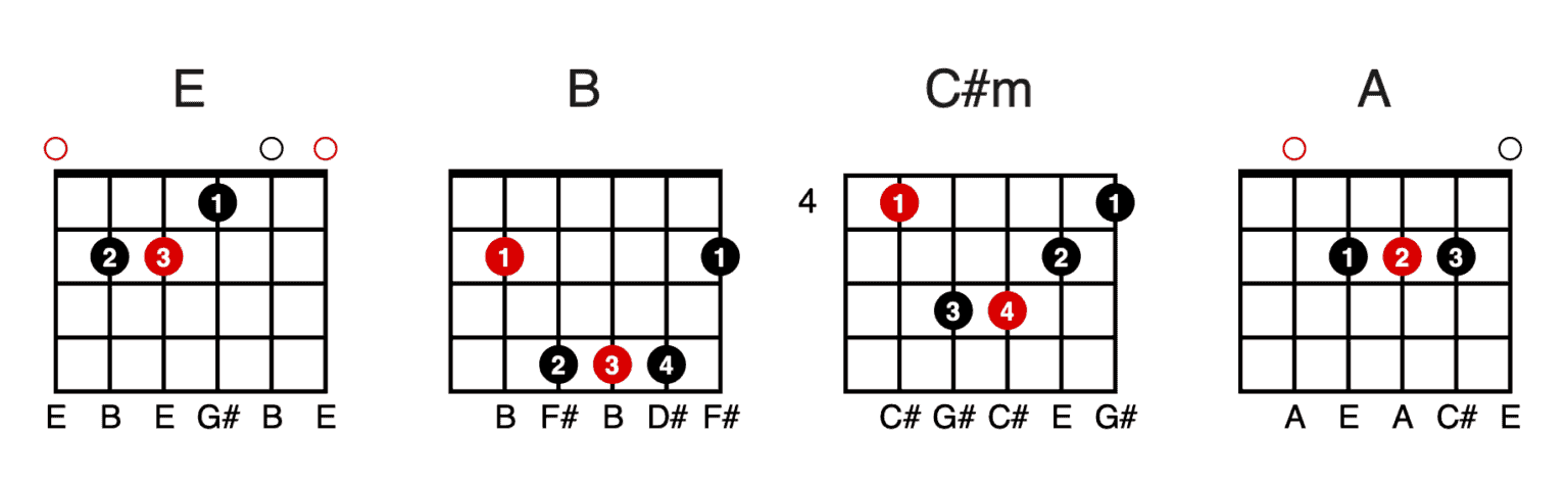 The Best Way To Learn Songs On Guitar | All Stringed